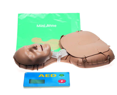 Mini Anne Global – Life Saving Victoria